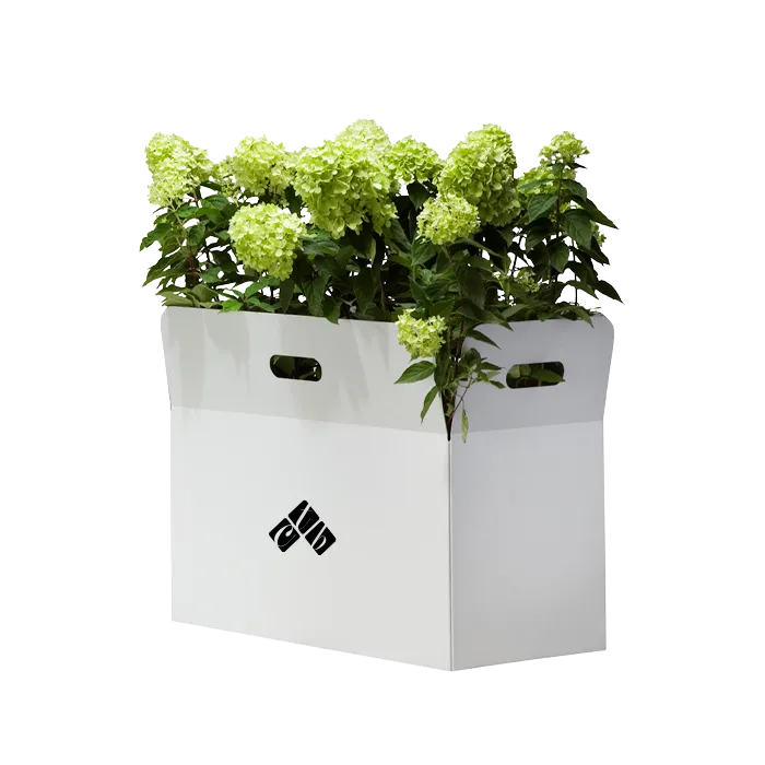 Custom Floral Boxes Wholesale | Packaging For Flowers